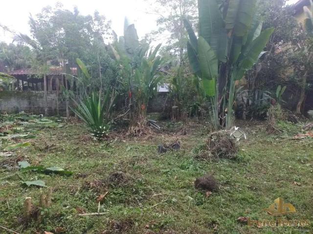 Terreno / Lote para Venda em Ubatuba/SP Praia do Itamambuca