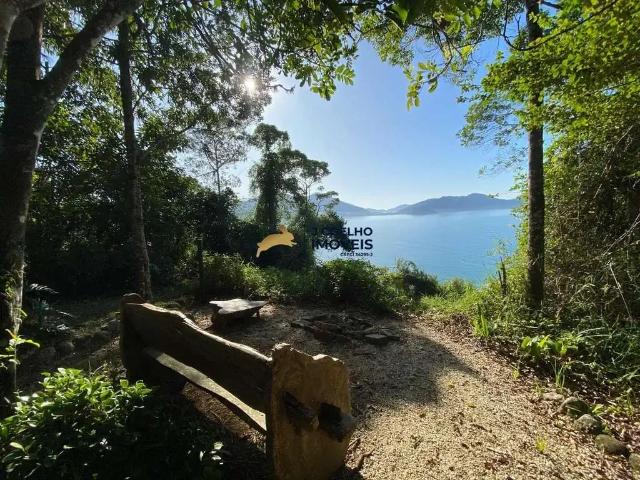 Terreno / Lote para Venda em Ubatuba/SP Praia Vermelha do Sul