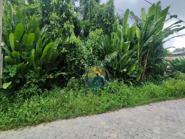 Terreno / Lote para Venda em Ubatuba/SP Ressaca