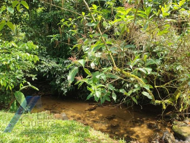 Terreno / Lote para Venda em Ubatuba/SP Ressaca