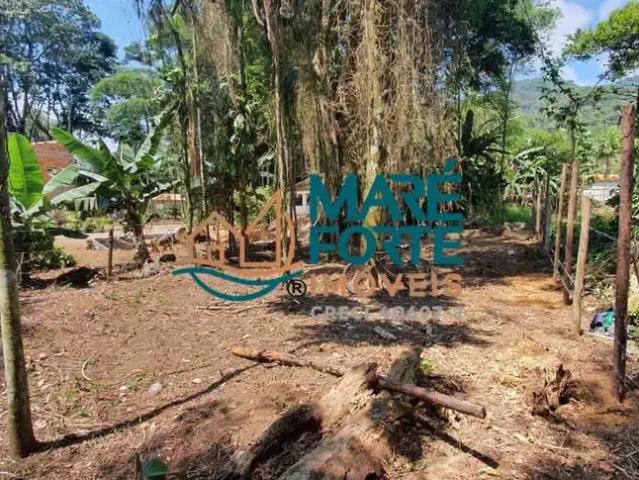 Terreno / Lote para Venda em Ubatuba/SP Taquaral