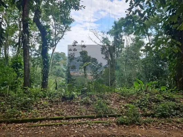 Terreno / Lote para Venda em Ubatuba/SP Tenório