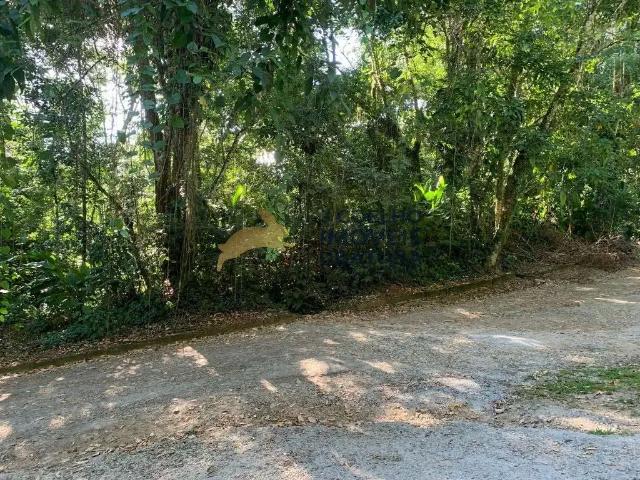 Terreno / Lote para Venda em Ubatuba/SP Tenório