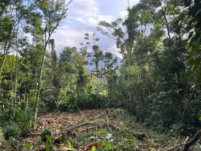 Terreno / Lote para Venda em Ubatuba/SP Tenório
