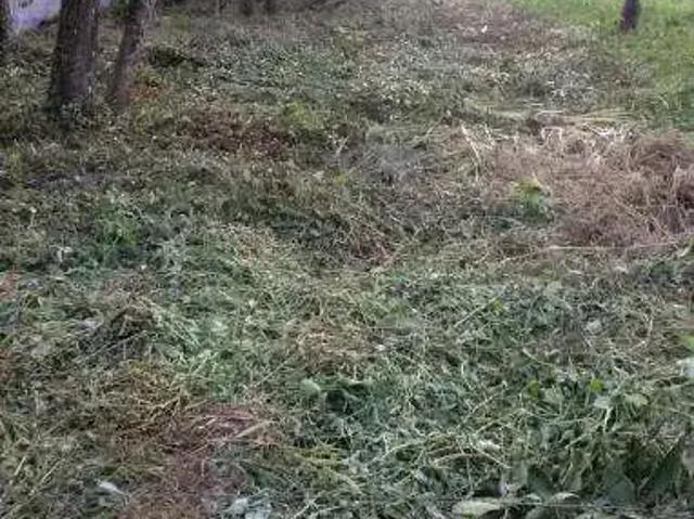 Terreno / Lote para Venda em Ubatuba/SP Ubatumirim