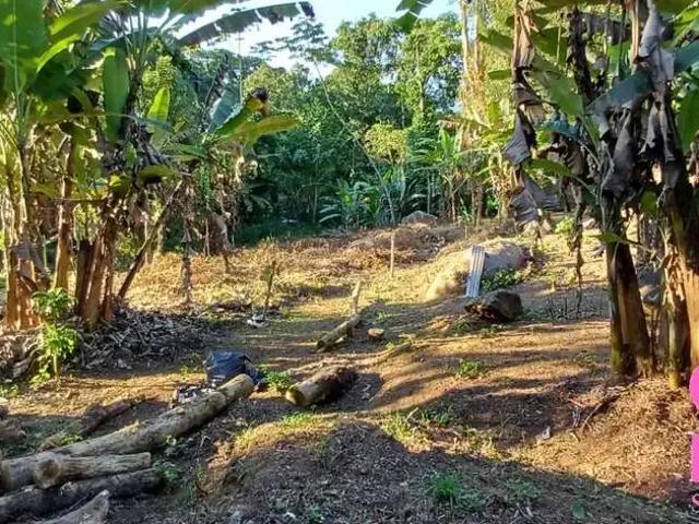 Terreno / Lote para Venda em Ubatuba/SP Ubatumirim