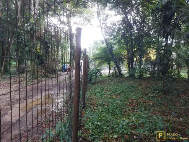 Terreno / Lote para Venda em Ubatuba/SP Ubatumirim