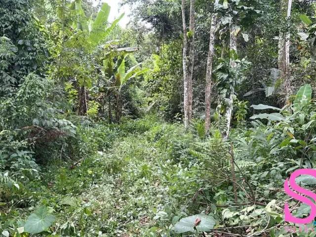 Terreno / Lote para Venda em Ubatuba/SP Ubatumirim