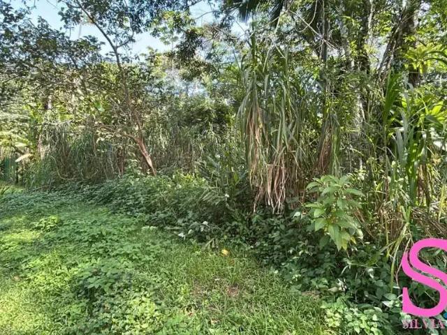 Terreno / Lote para Venda em Ubatuba/SP Ubatumirim