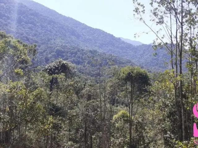 Terreno / Lote para Venda em Ubatuba/SP Ubatumirim
