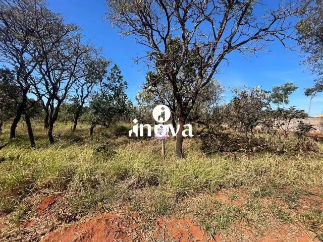 Terreno / Lote para Venda em Uberaba/MG Chácaras Bouganville