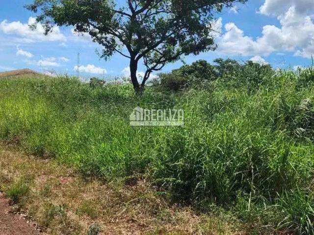 Terreno / Lote para Venda em Uberaba/MG Chácaras Vila Real