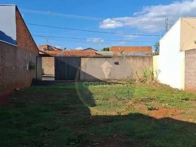 Terreno / Lote para Venda em Uberaba/MG Cidade Nova