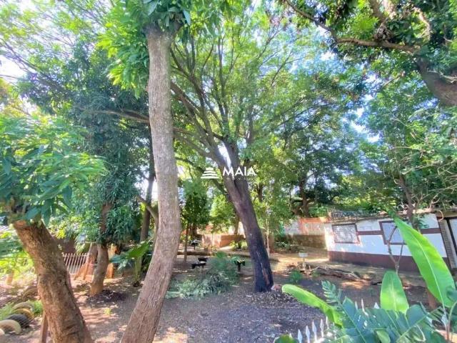 Terreno / Lote para Venda em Uberaba/MG Estados Unidos