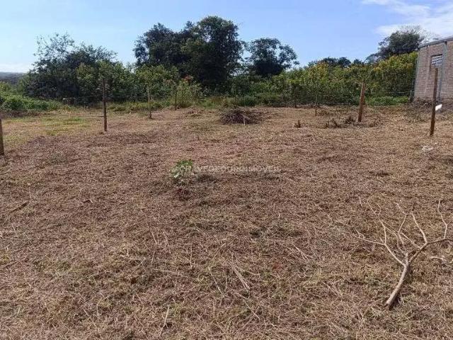 Terreno / Lote para Venda em Uberaba/MG Fabrício