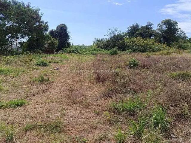 Terreno / Lote para Venda em Uberaba/MG Fabrício