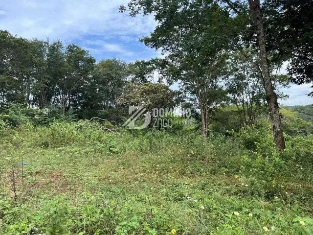 Terreno / Lote para Venda em Uberaba/MG Fabrício