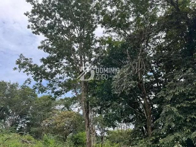 Terreno / Lote para Venda em Uberaba/MG Fabrício