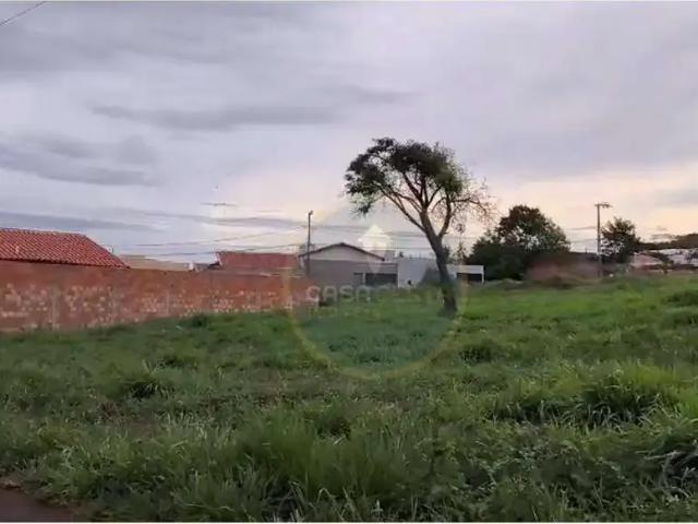 Terreno / Lote para Venda em Uberaba/MG Jardim Maracanã