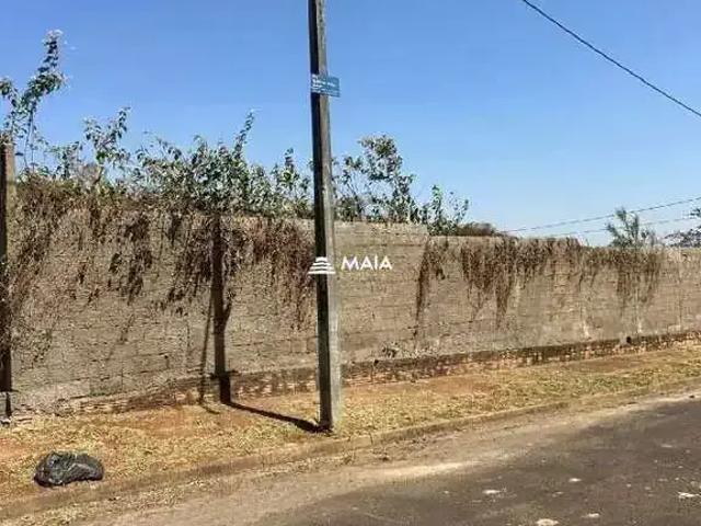 Terreno / Lote para Venda em Uberaba/MG Jardim Nenê Gomes