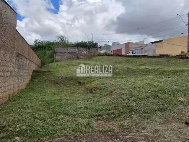 Terreno / Lote para Venda em Uberaba/MG Jardim Nenê Gomes