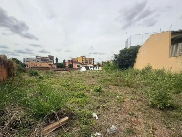 Terreno / Lote para Venda em Uberaba/MG Jardim Alexandre Campos
