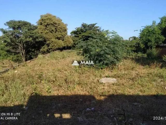 Terreno / Lote para Venda em Uberaba/MG Jardim São Bento
