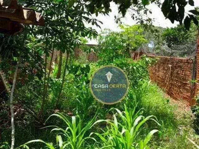 Terreno / Lote para Venda em Uberaba/MG Jardim Uberaba