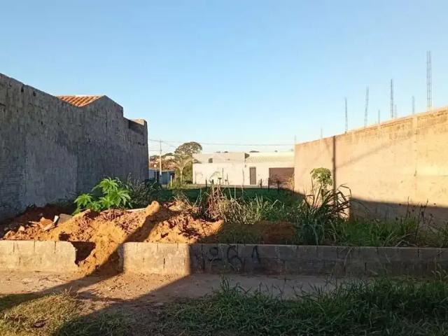 Terreno / Lote para Venda em Uberaba/MG Loteamento Terra Jardim