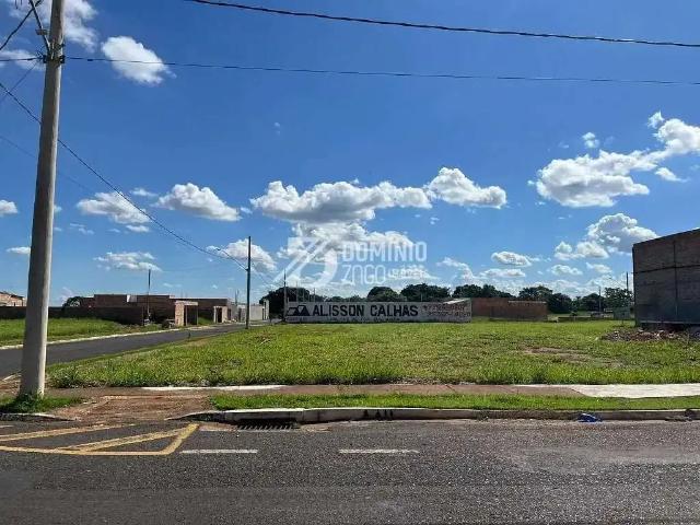 Terreno / Lote para Venda em Uberaba/MG Loteamento Antônio Caiado