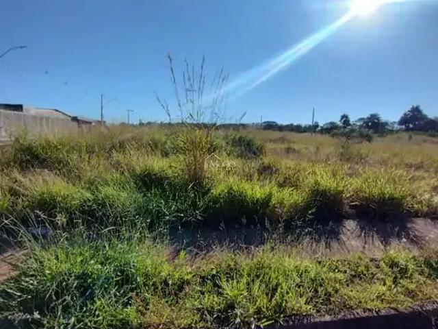 Terreno / Lote para Venda em Uberaba/MG Loteamento Reynaldo Mendes