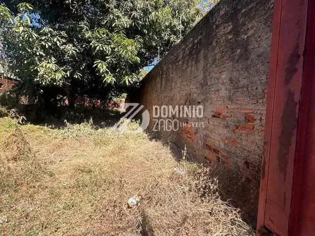 Terreno / Lote para Venda em Uberaba/MG Santa Maria