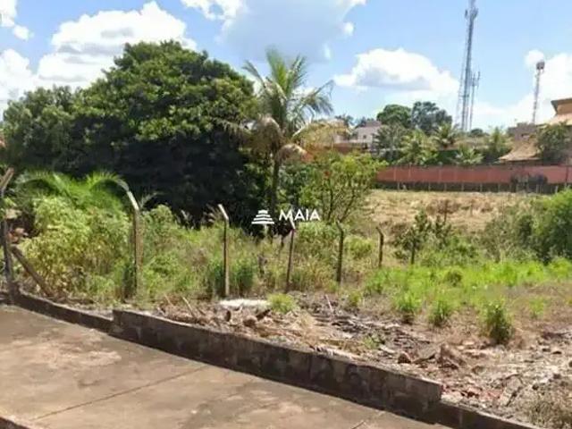 Terreno / Lote para Venda em Uberaba/MG Santa Maria