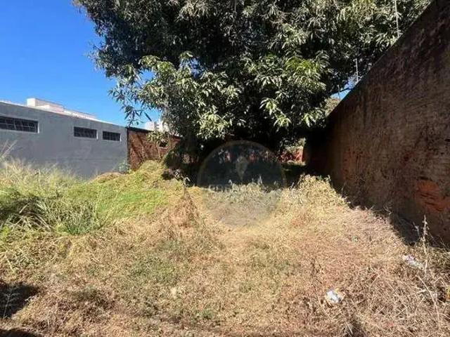 Terreno / Lote para Venda em Uberaba/MG Santa Maria