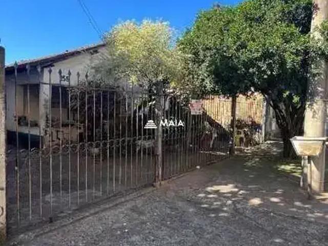 Terreno / Lote para Venda em Uberaba/MG Santa Maria