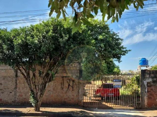 Terreno / Lote para Venda em Uberaba/MG Santa Maria