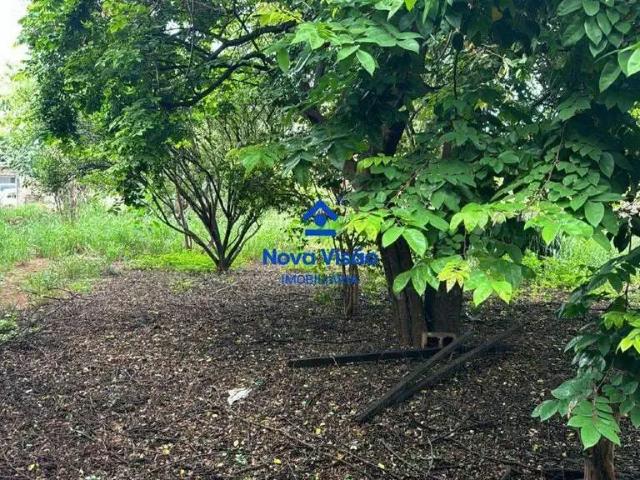 Terreno / Lote para Venda em Uberaba/MG Santa Maria