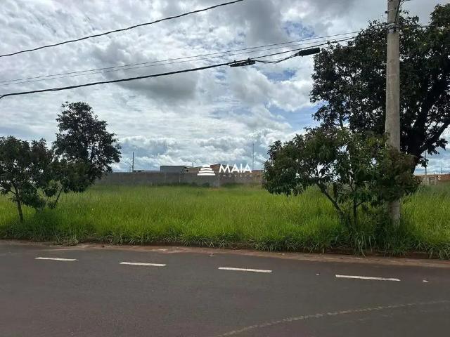 Terreno / Lote para Venda em Uberaba/MG Parque das Laranjeiras II