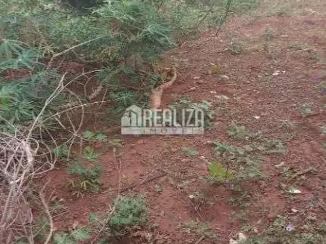 Terreno / Lote para Venda em Uberaba/MG Residencial Estados Unidos