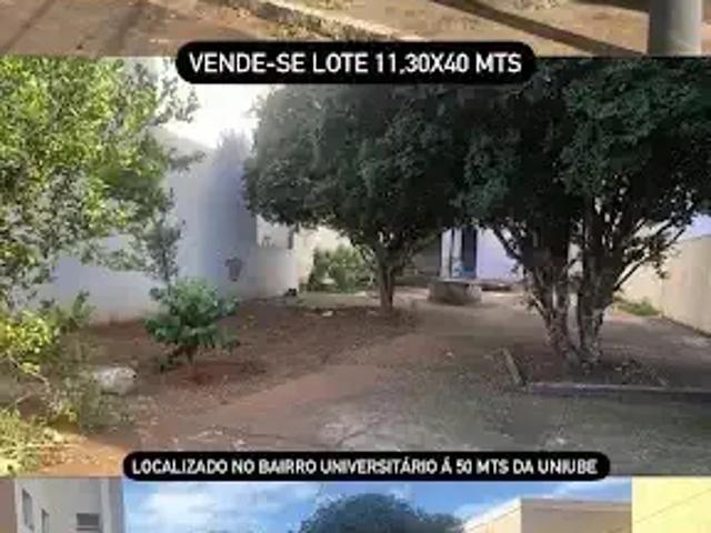 Terreno / Lote para Venda em Uberaba/MG Universitário