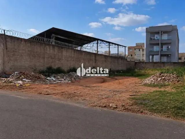Terreno / Lote para Venda em Uberlândia/MG Carajás