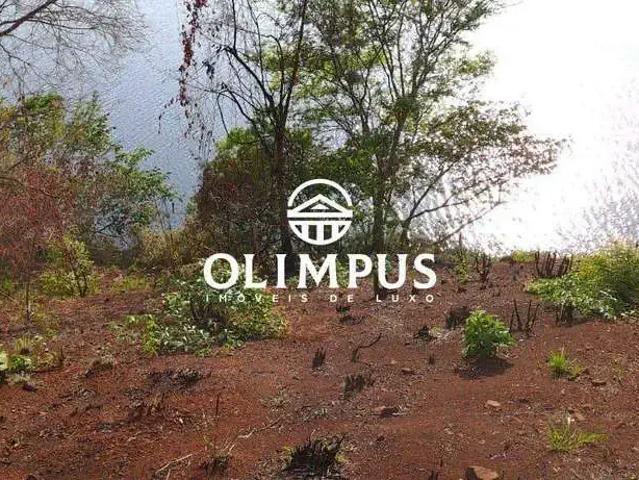 Terreno / Lote para Venda em Uberlândia/MG Centro