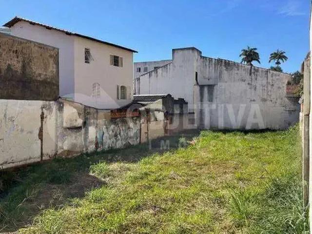 Terreno / Lote para Venda em Uberlândia/MG Centro