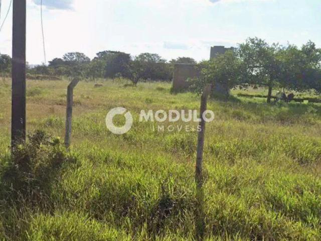 Terreno / Lote para Venda em Uberlândia/MG Chácaras Uirapuru