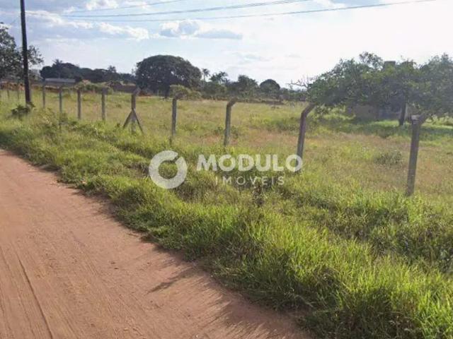 Terreno / Lote para Venda em Uberlândia/MG Chácaras Uirapuru