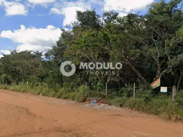 Terreno / Lote para Venda em Uberlândia/MG Chácaras Uirapuru