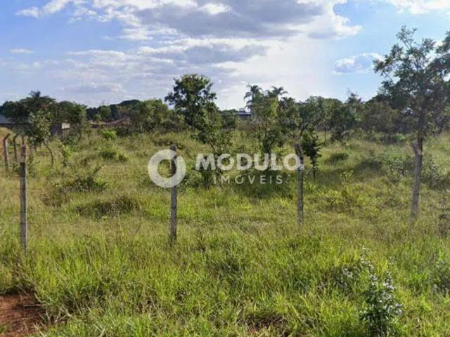Terreno / Lote para Venda em Uberlândia/MG Chácaras Uirapuru