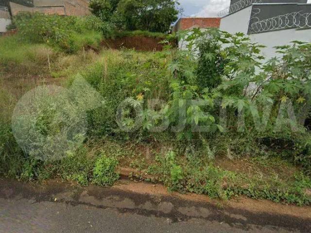 Terreno / Lote para Venda em Uberlândia/MG Cidade Jardim