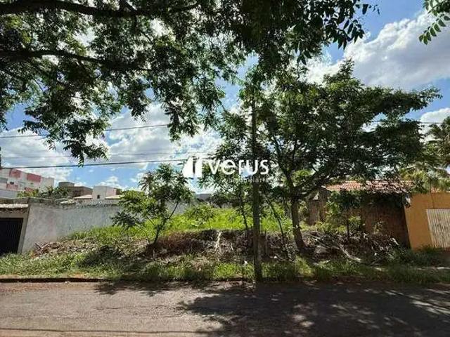 Terreno / Lote para Venda em Uberlândia/MG Cidade Jardim