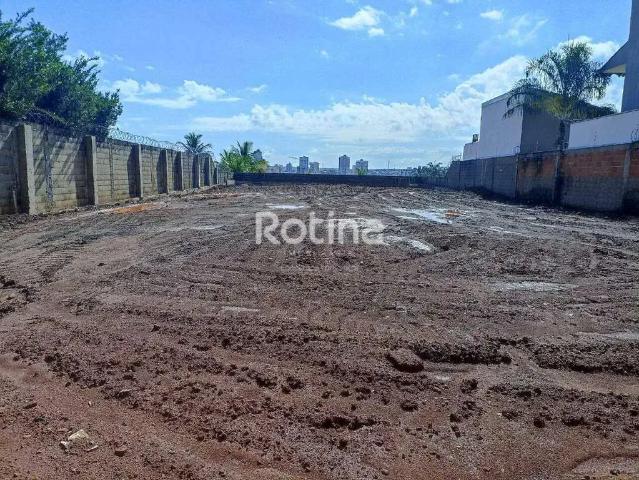 Terreno / Lote para Venda em Uberlândia/MG Cidade Jardim